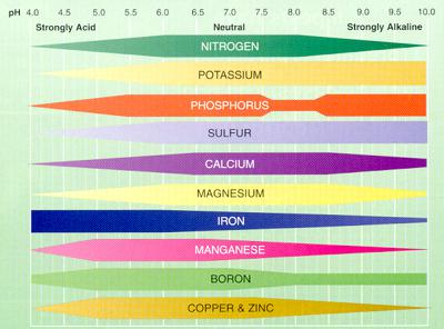 pH Soil Test - Soil Service