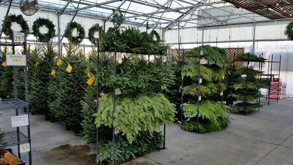 Fresh Cut Greens - Soil Service